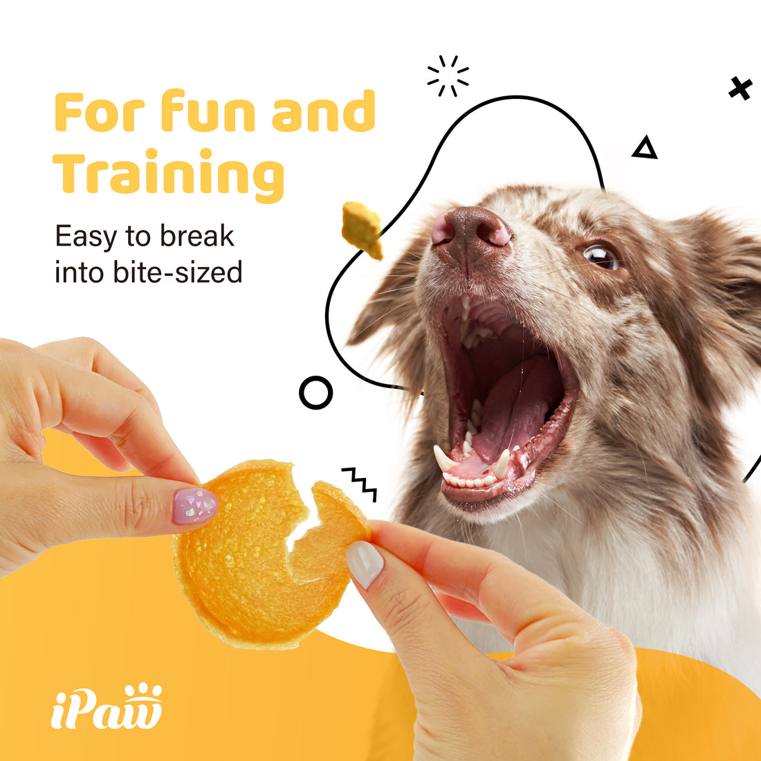 iPaw - Turkey Jerky Chips